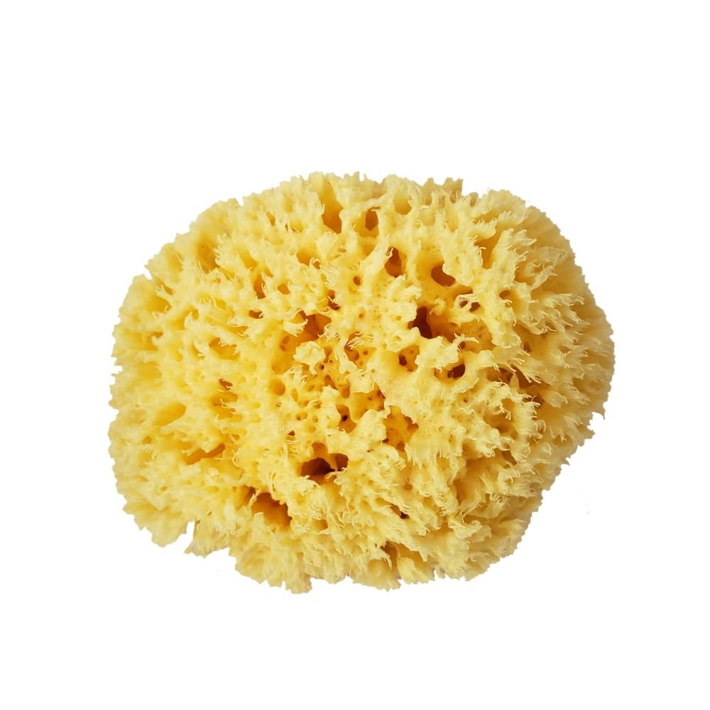 OTS Japan Natural Sponge Sponge до 16 см для всего (Сотовый вид/тело 14 ...