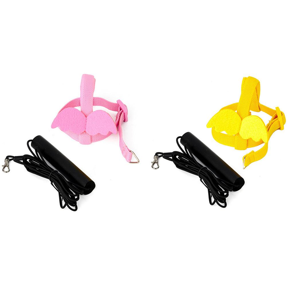 Ultra Light Parrot Flying Sling Leash Outdoor Training Bird Traction ...